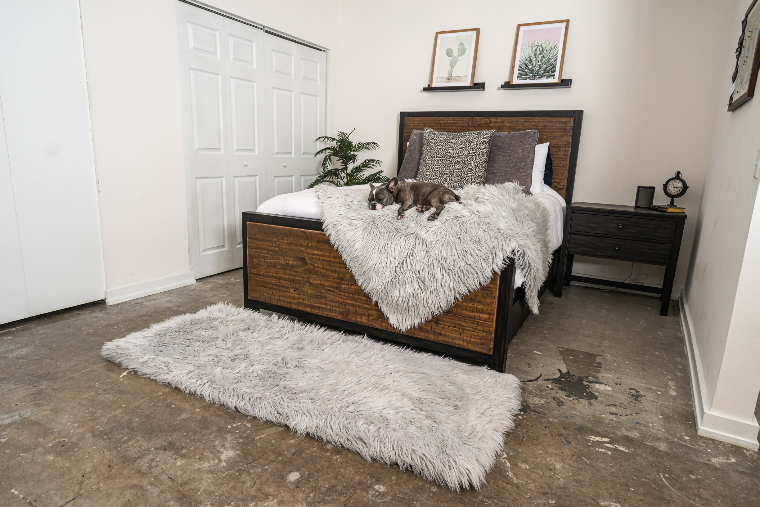 Paw.com Bundle Giveaway